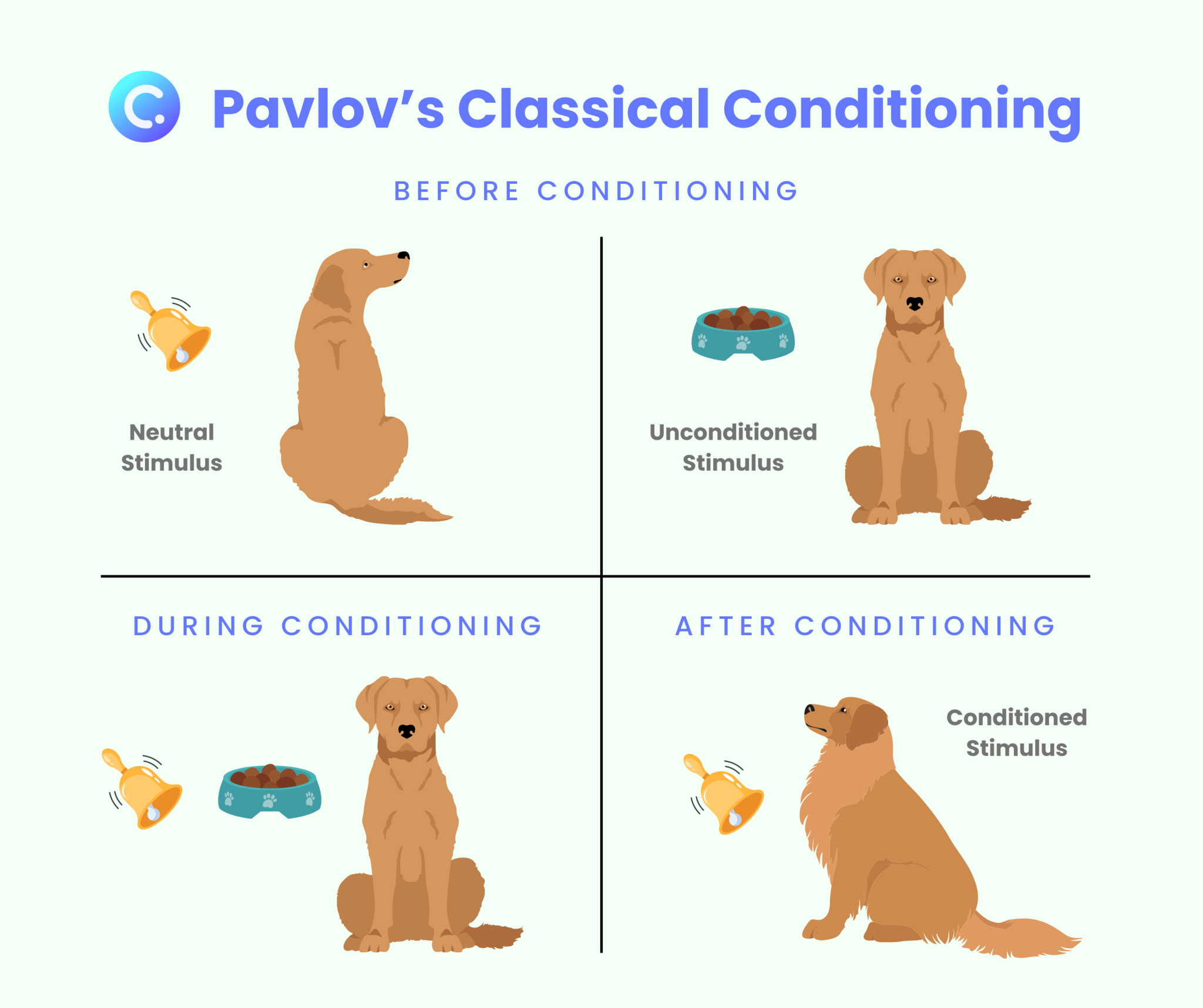 The Handy Behavioral Learning Theory Guide: Master Behavior Reinforcement with 8 Practical ...