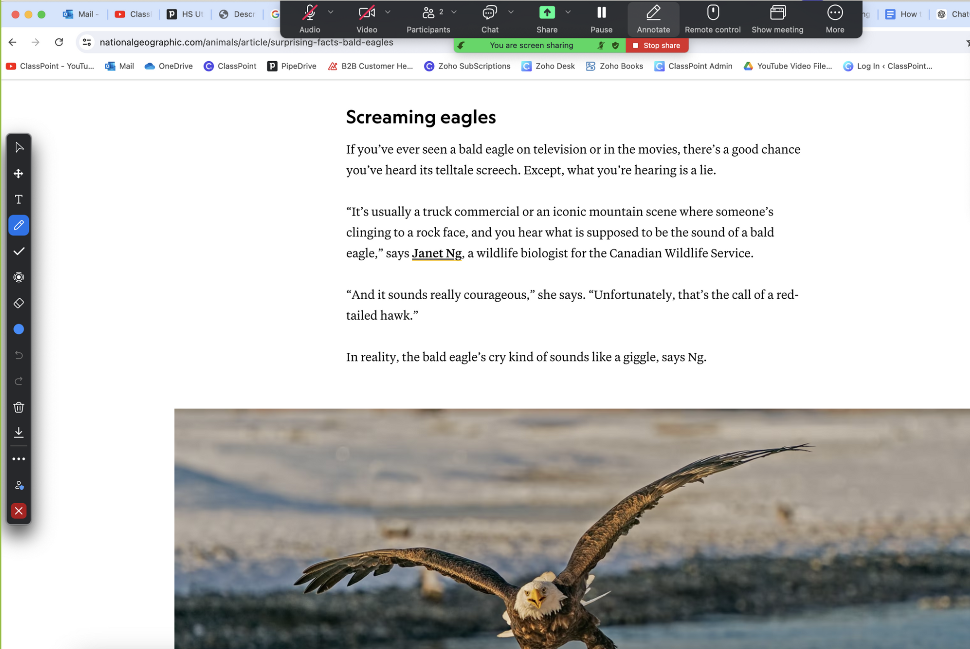 How to Annotate on Zoom: Tips and Tricks for Interactive Meetings on ...