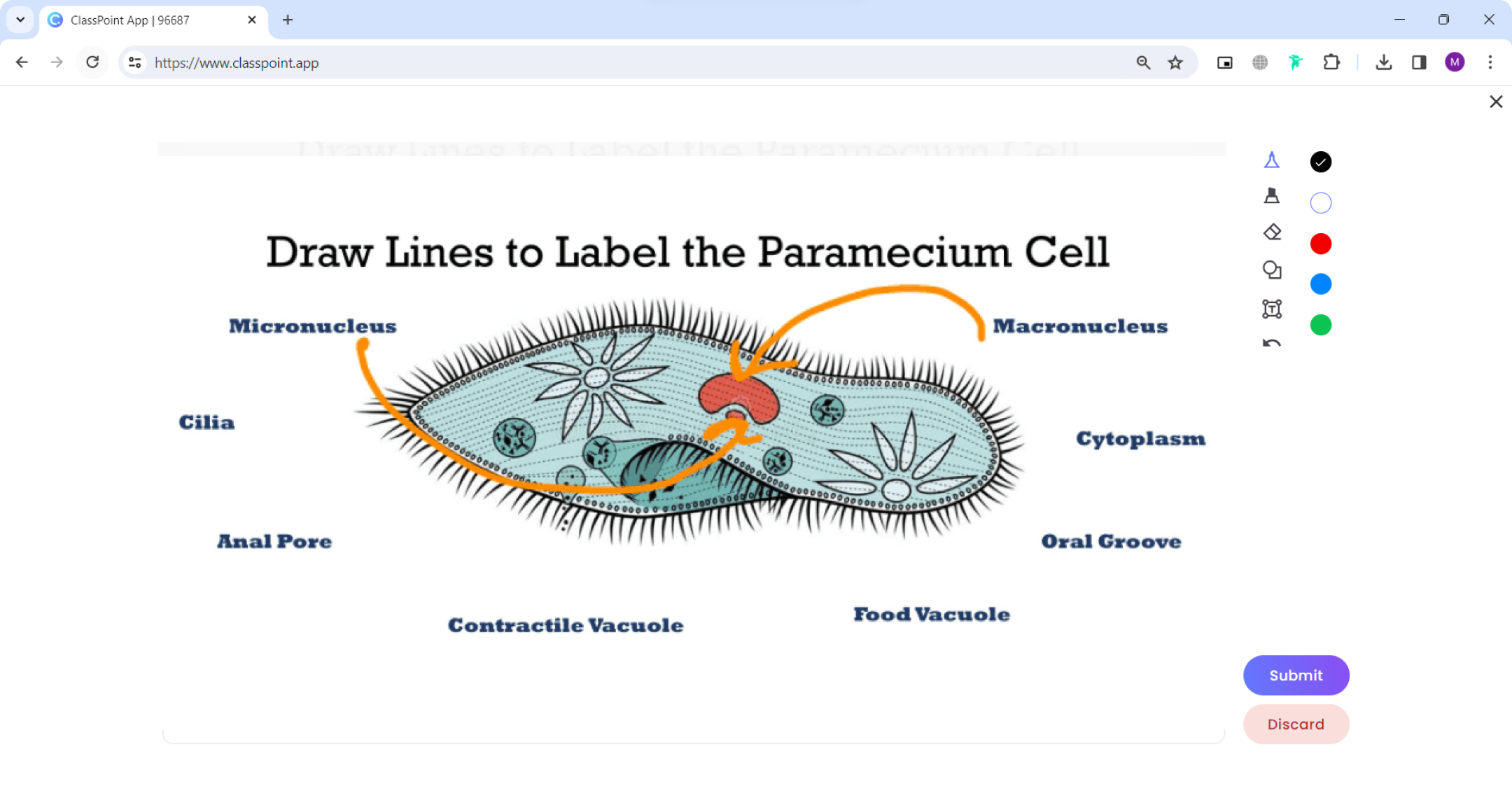 5 PowerPoint Slide Drawing Activities that Student Can Do During your ...